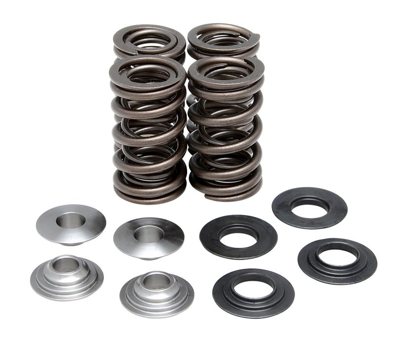 Raptor 700 Kibblewhite Dual Valve Spring Kit with Titanium Retainers