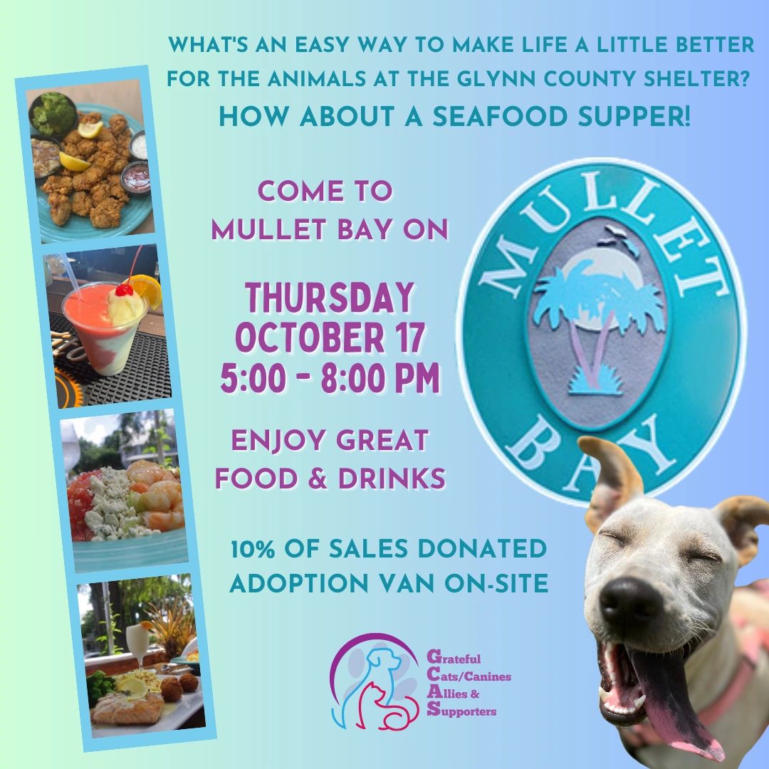 Mullet Bay Seafood Supper for Shelter Animals