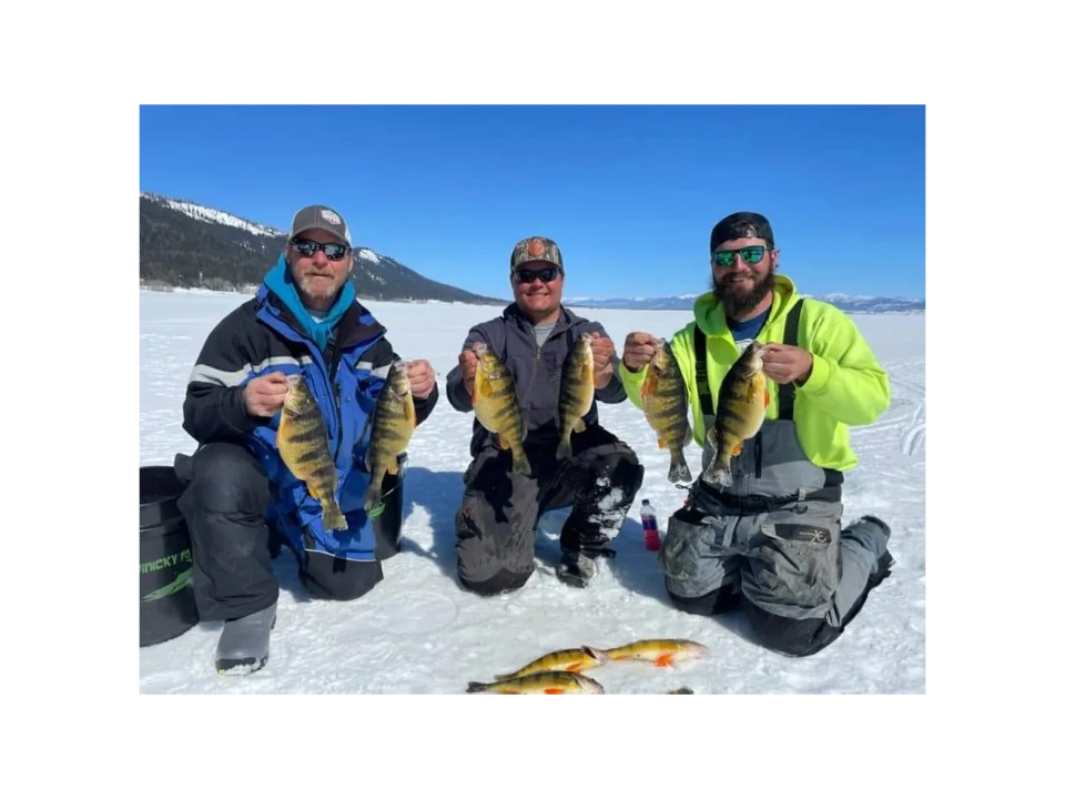 Finicky Fooler Website