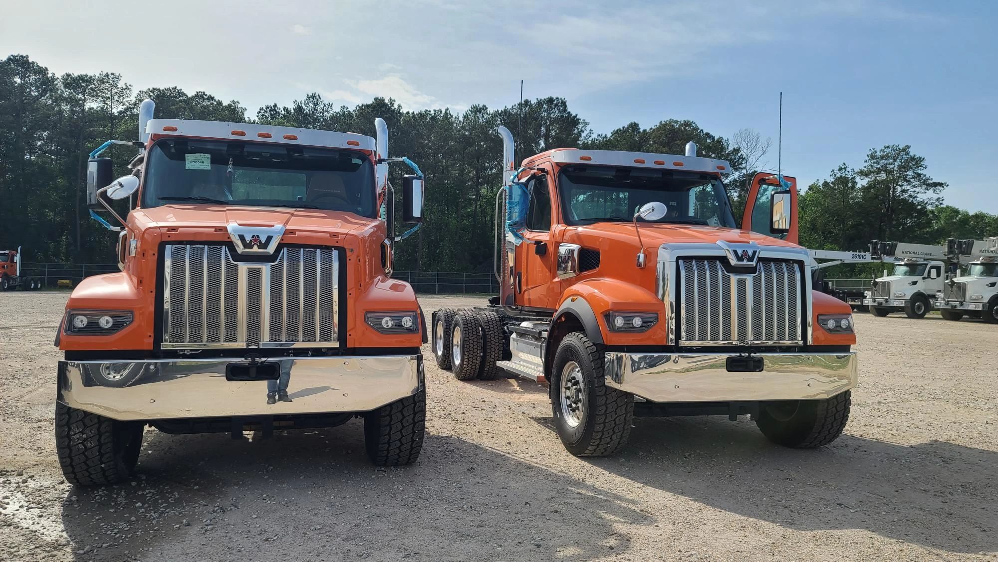 Whiteline Driveaway Services