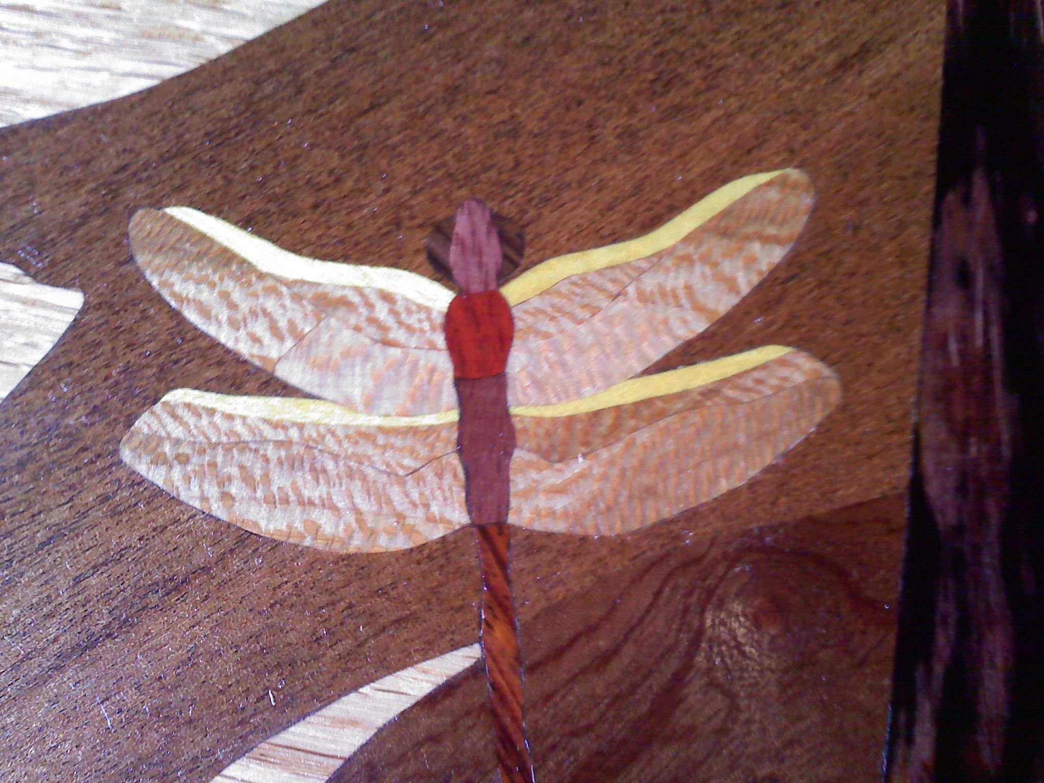 Hardwood Floor Inlays and other creative works - Colorado Dragonfly
