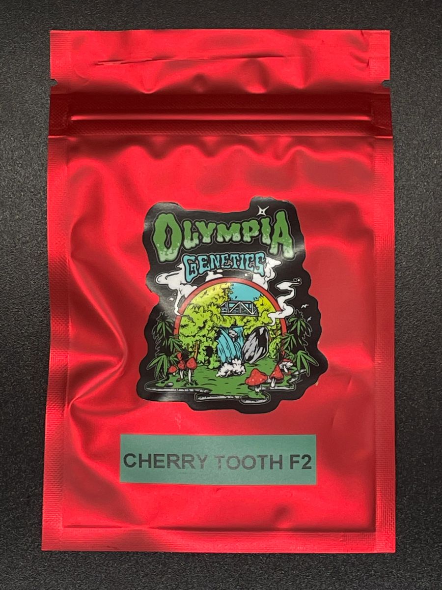 Cherry Tooth f2