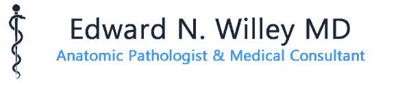 Edward N. Willey MD
