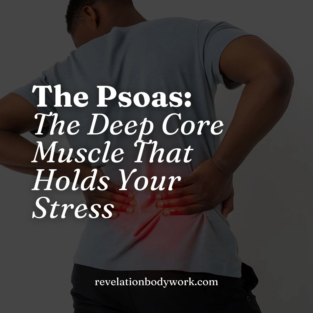 The Psoas: The Deep Core Muscle That Holds Your Stress