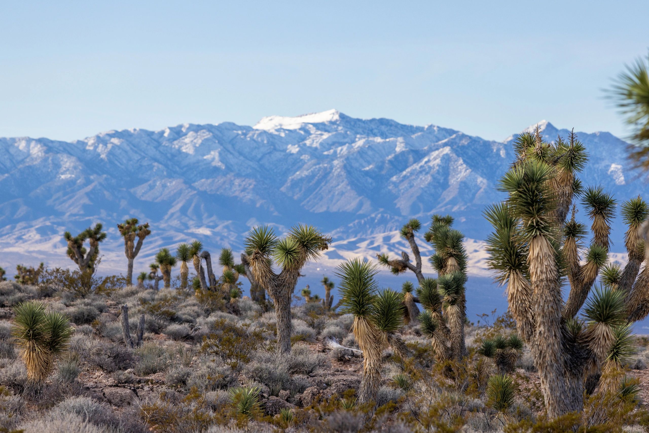 Aid Stations: 50K/100K