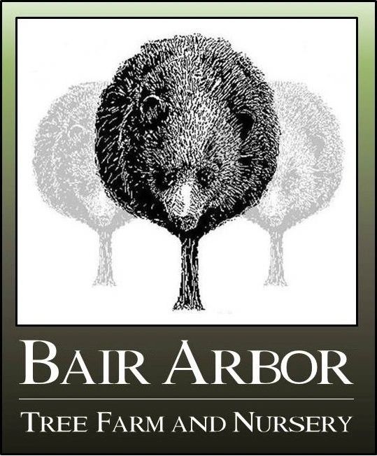 Nursery in Westminster - Bair Arbor Tree Farm and Nursery