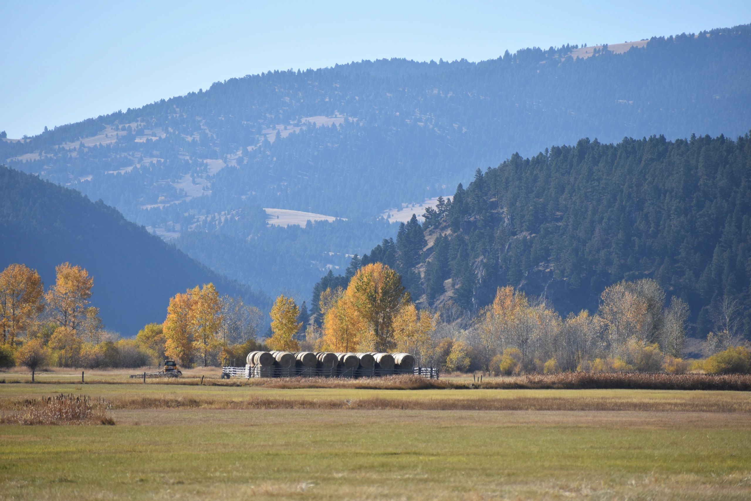 Contact | Cook Advisors PC