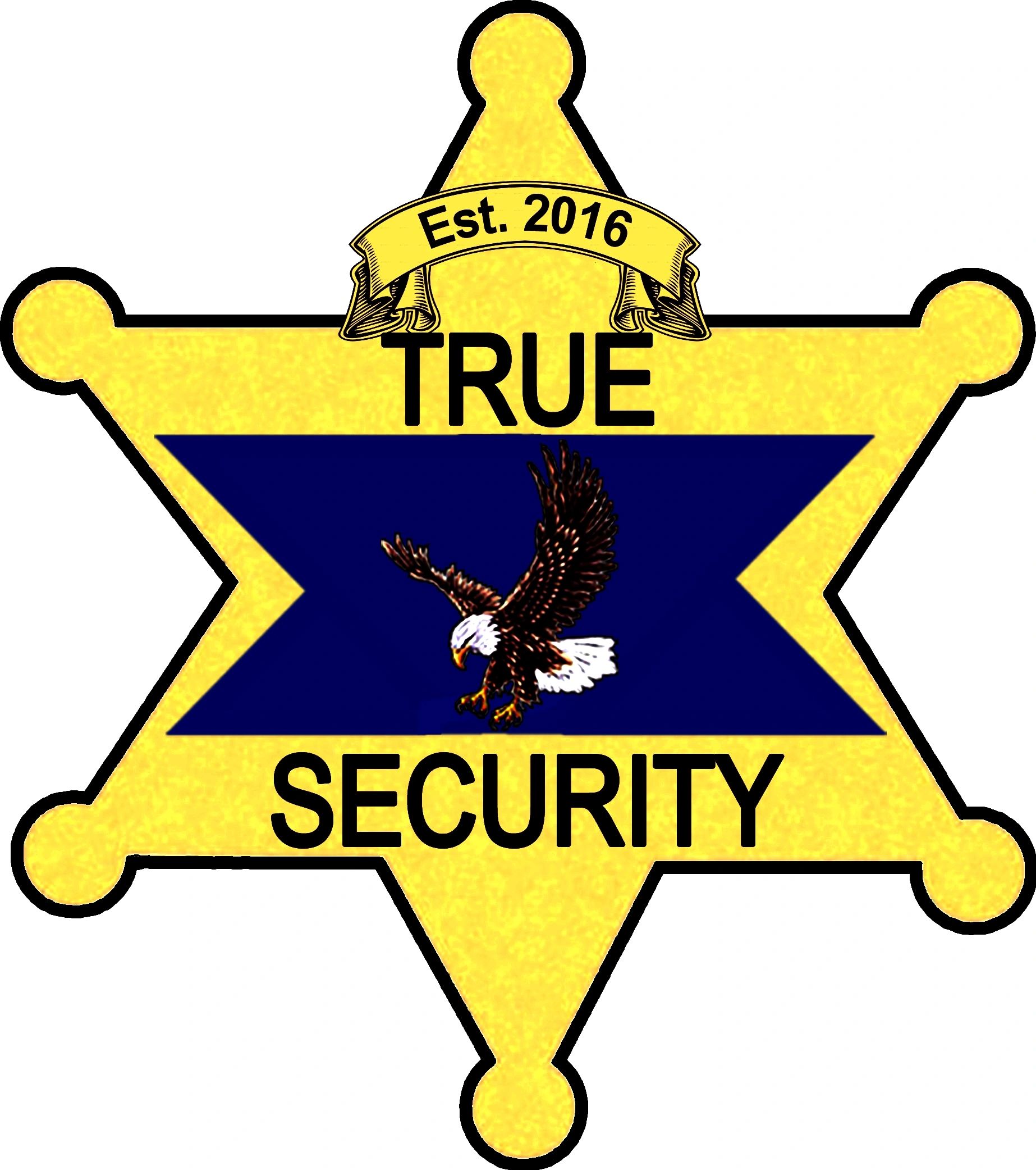 True Security Inc