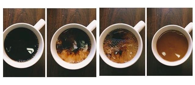 Maine Roasters Coffee