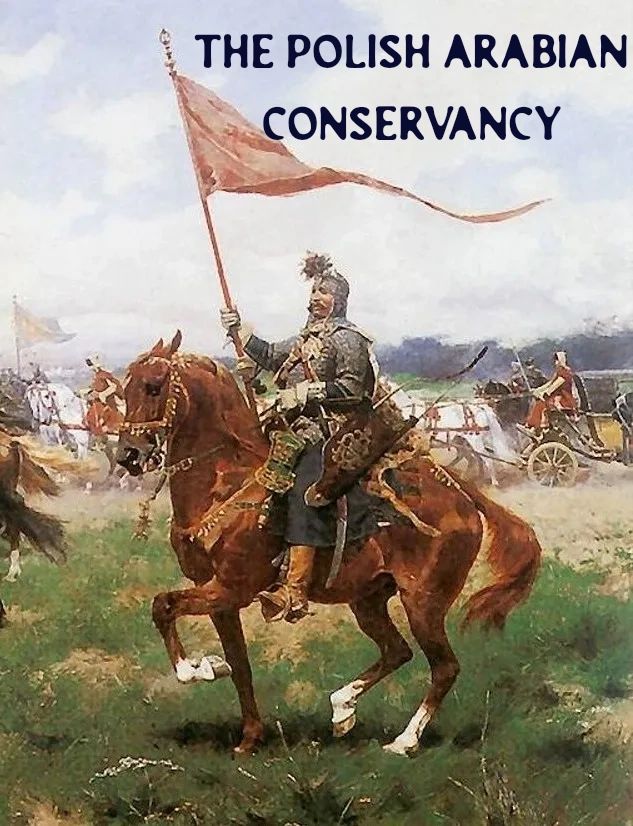 Polish Arabian Horse Conservancy