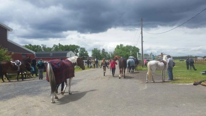Suffolk Stables LLC - Horse Riding Lessons - Shamong, New Jersey