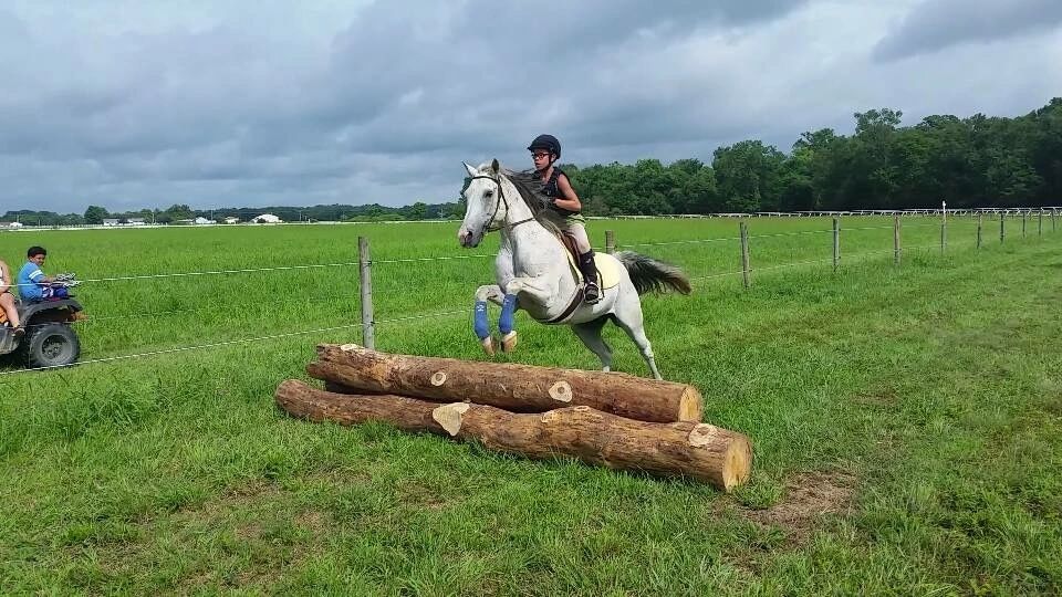 Suffolk Stables LLC - Horse Riding Lessons - Shamong, New Jersey