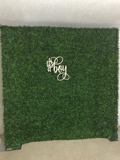 Grass Wall Rental in Maryland, Virginia, D.C.