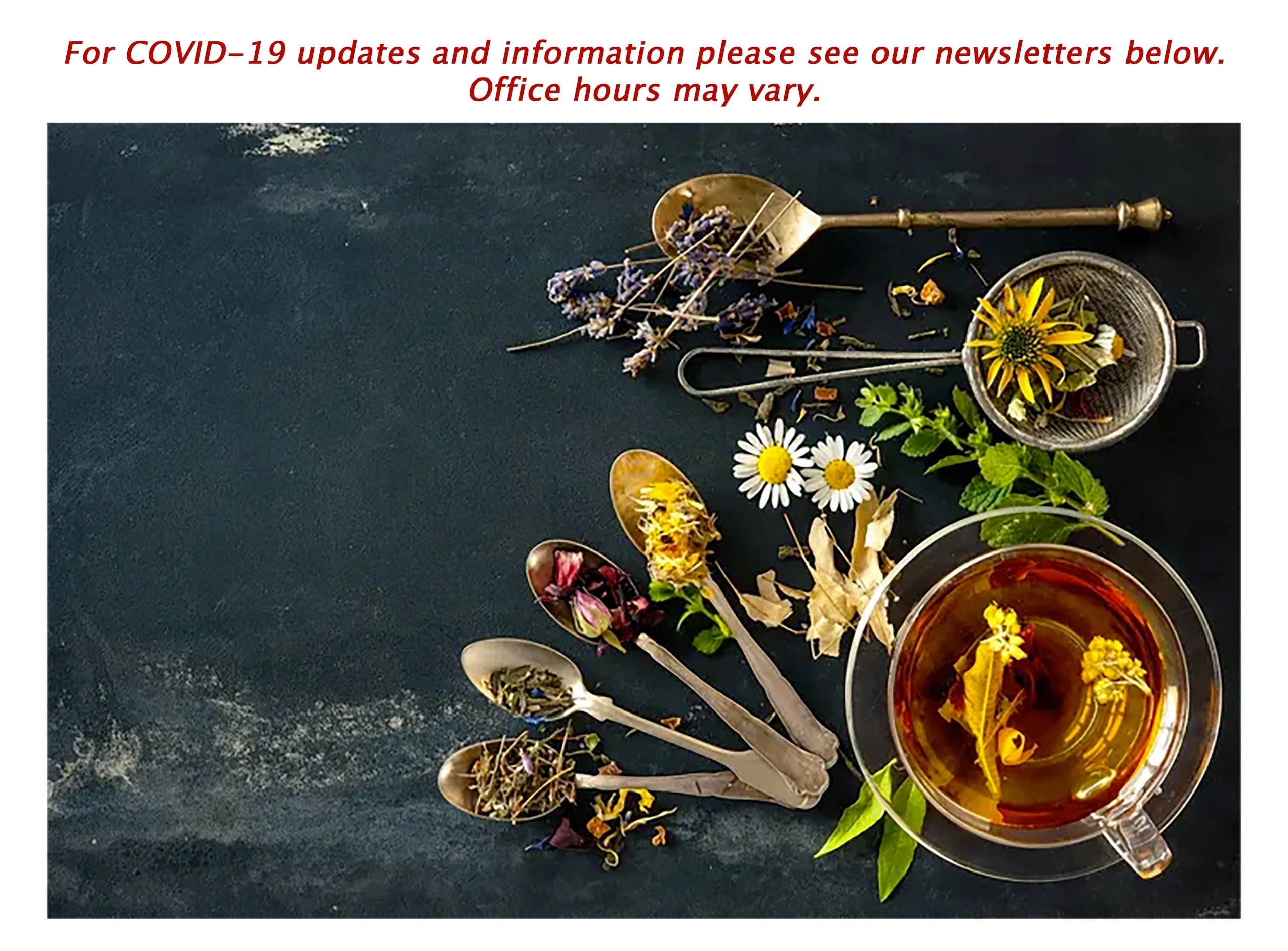 Tree Of Life Medicine