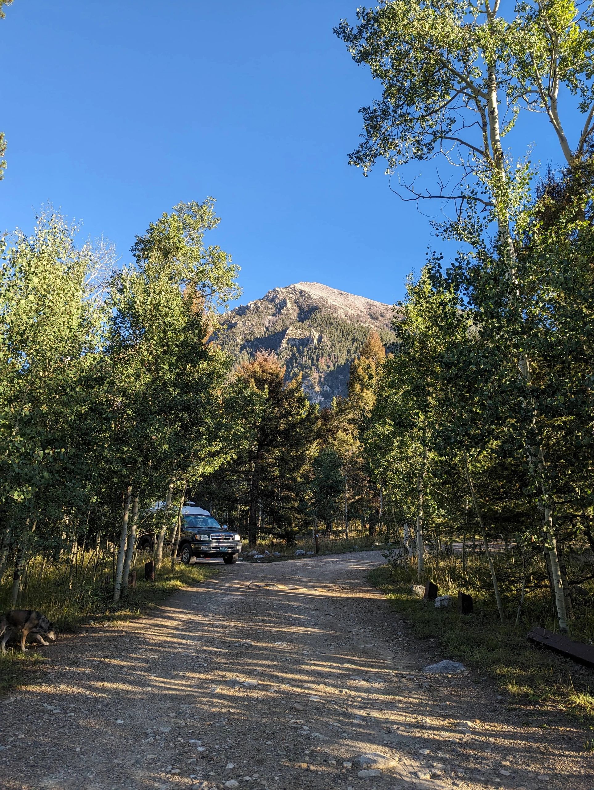 Angel of Shavano: Campground Review