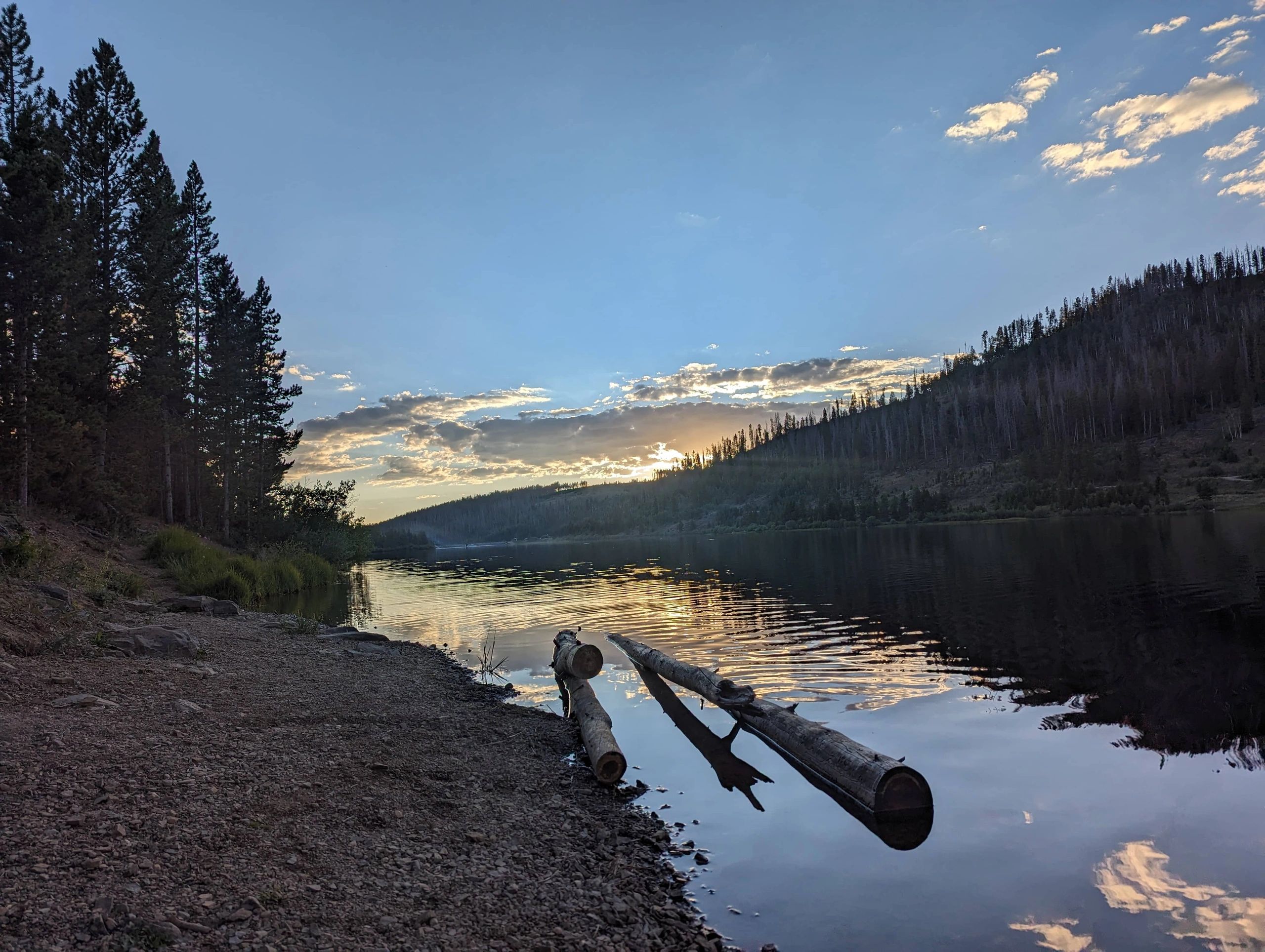 North Michigan Campground Beta: State Forest State Park