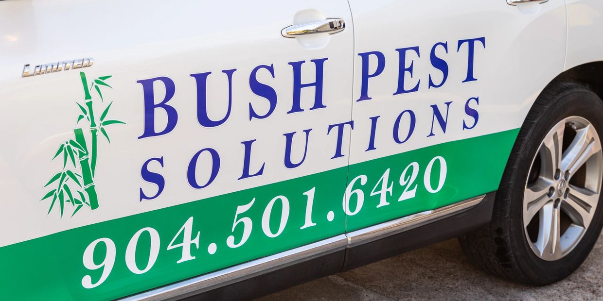 Bush Pest Solutions - Pest Control - St. Augustine, Florida