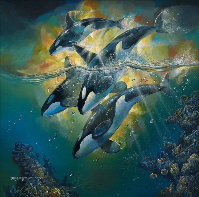 Cosmopolitan Orca Family