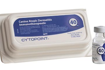 Services Offered | Furever Family Animal Hospital