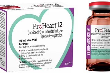 Services Offered | Furever Family Animal Hospital