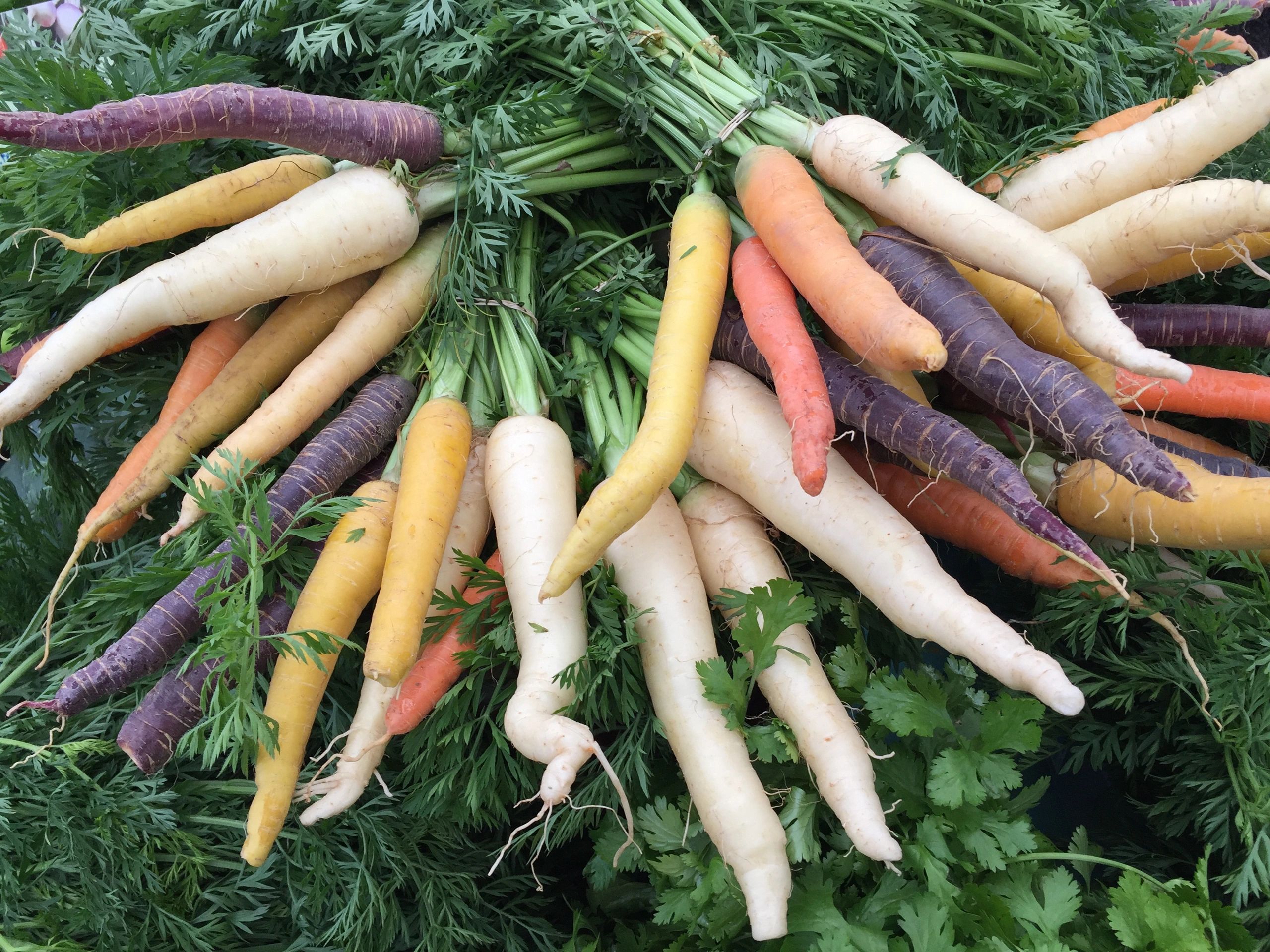 Grow Garden Grow - Home