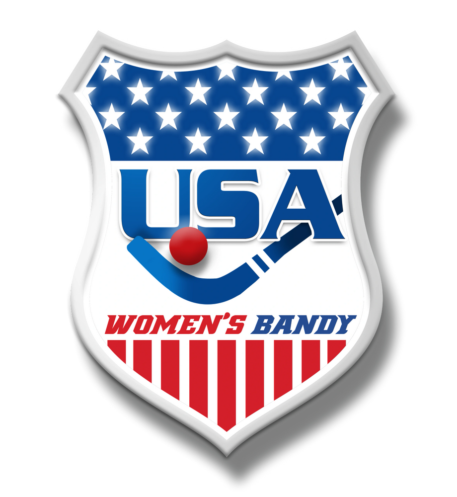 usa womens bandy