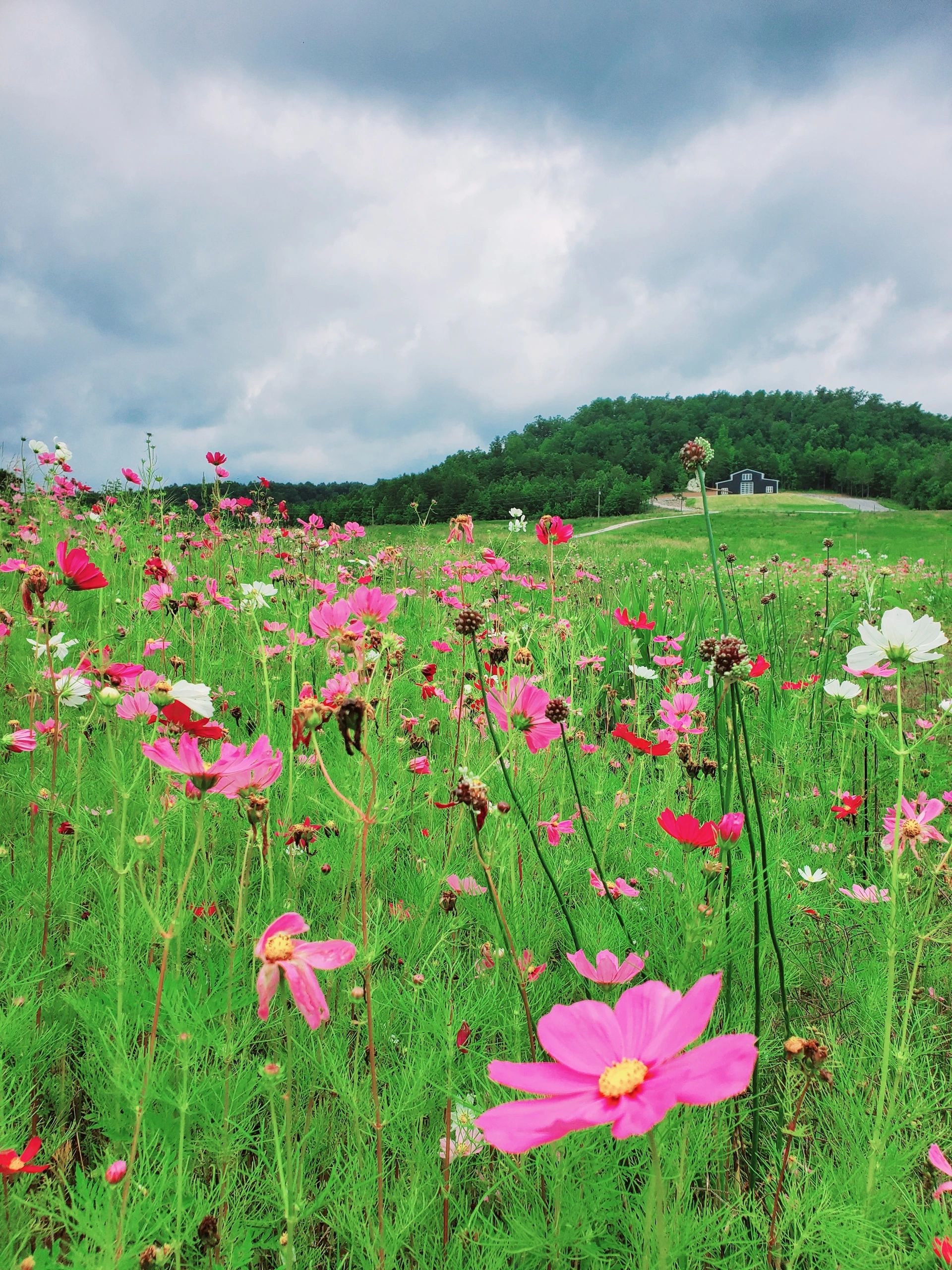 Hillside 91 - Event Venue, Event Space, Wedding Venues