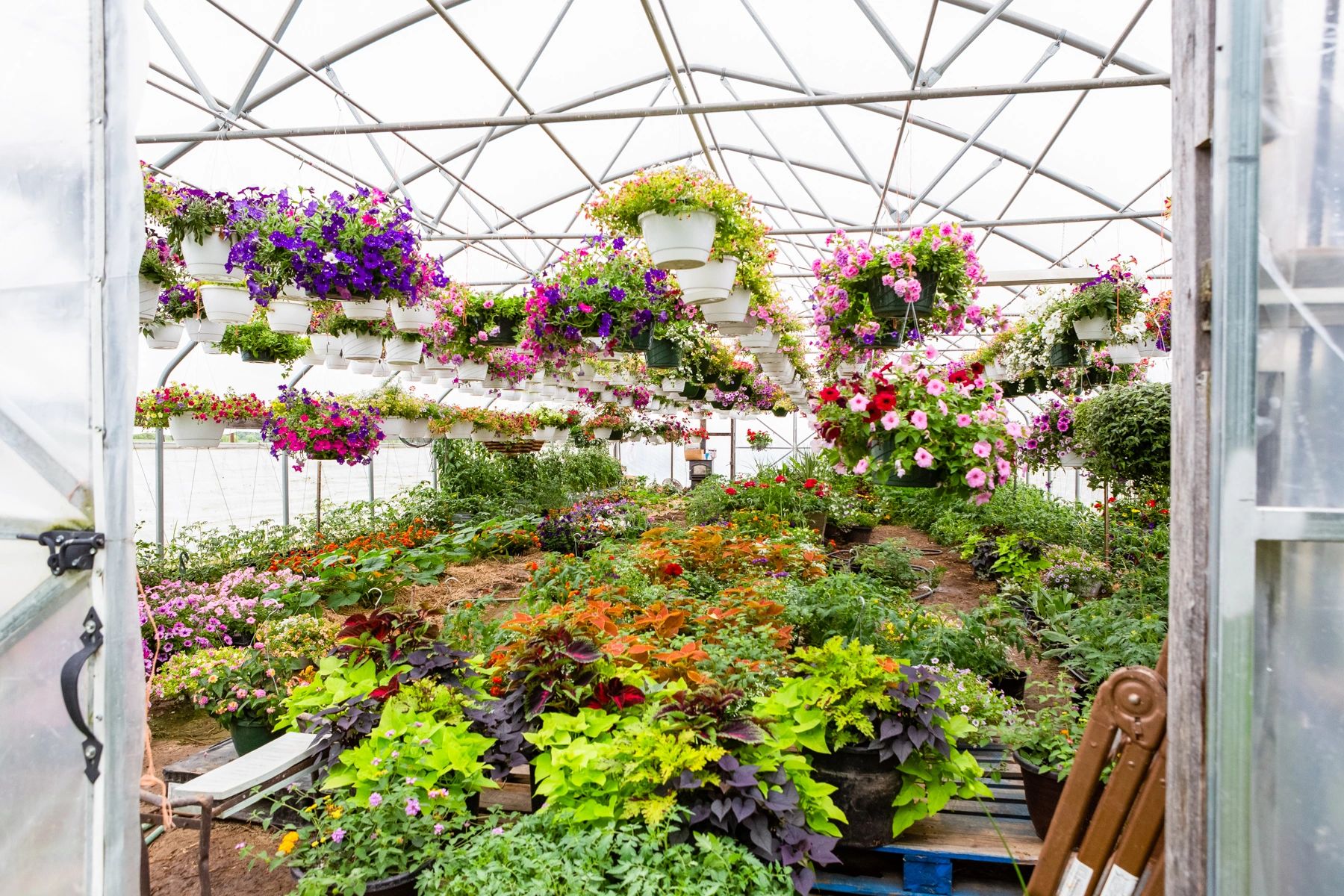 Countryside Farm + Market in Cuba, Missouri