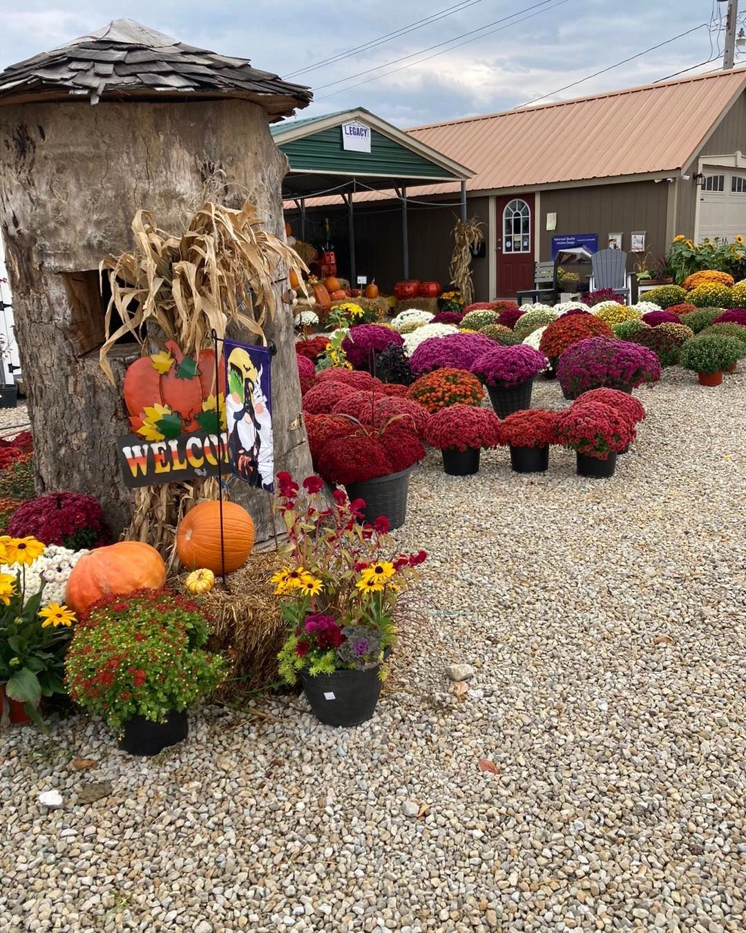 Countryside Farm + Market - Flowers - Cuba, Missouri