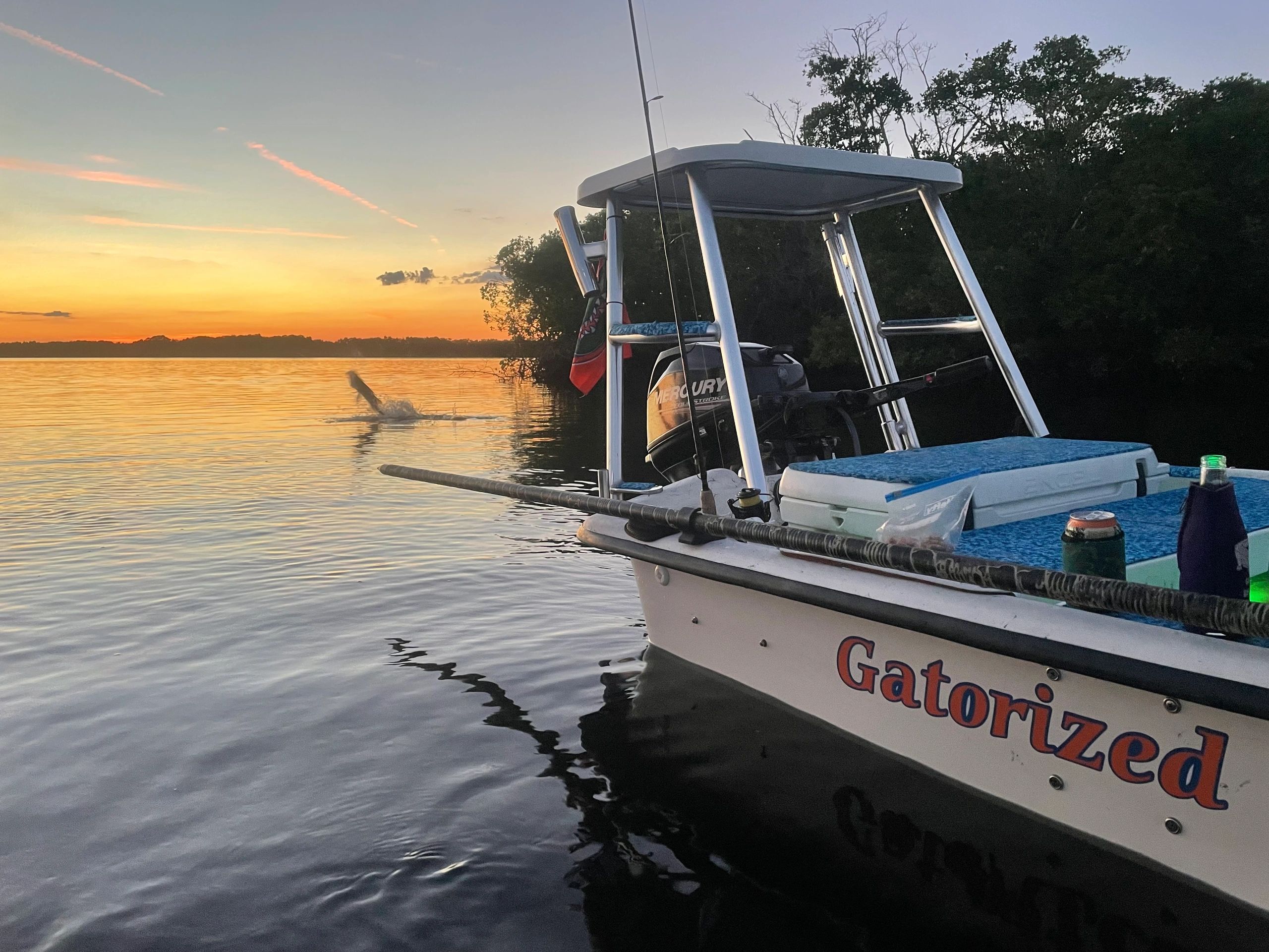 Southwest Florida Outfitters - Fishing Charters, Saltwater Fishing