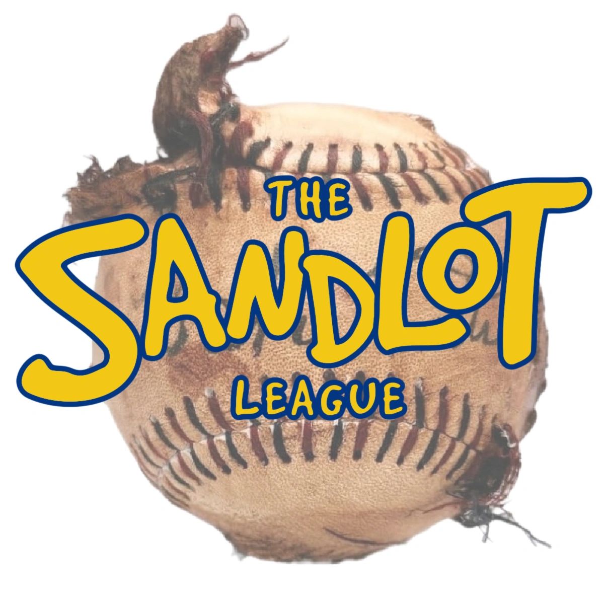 Sandlot Baseball League