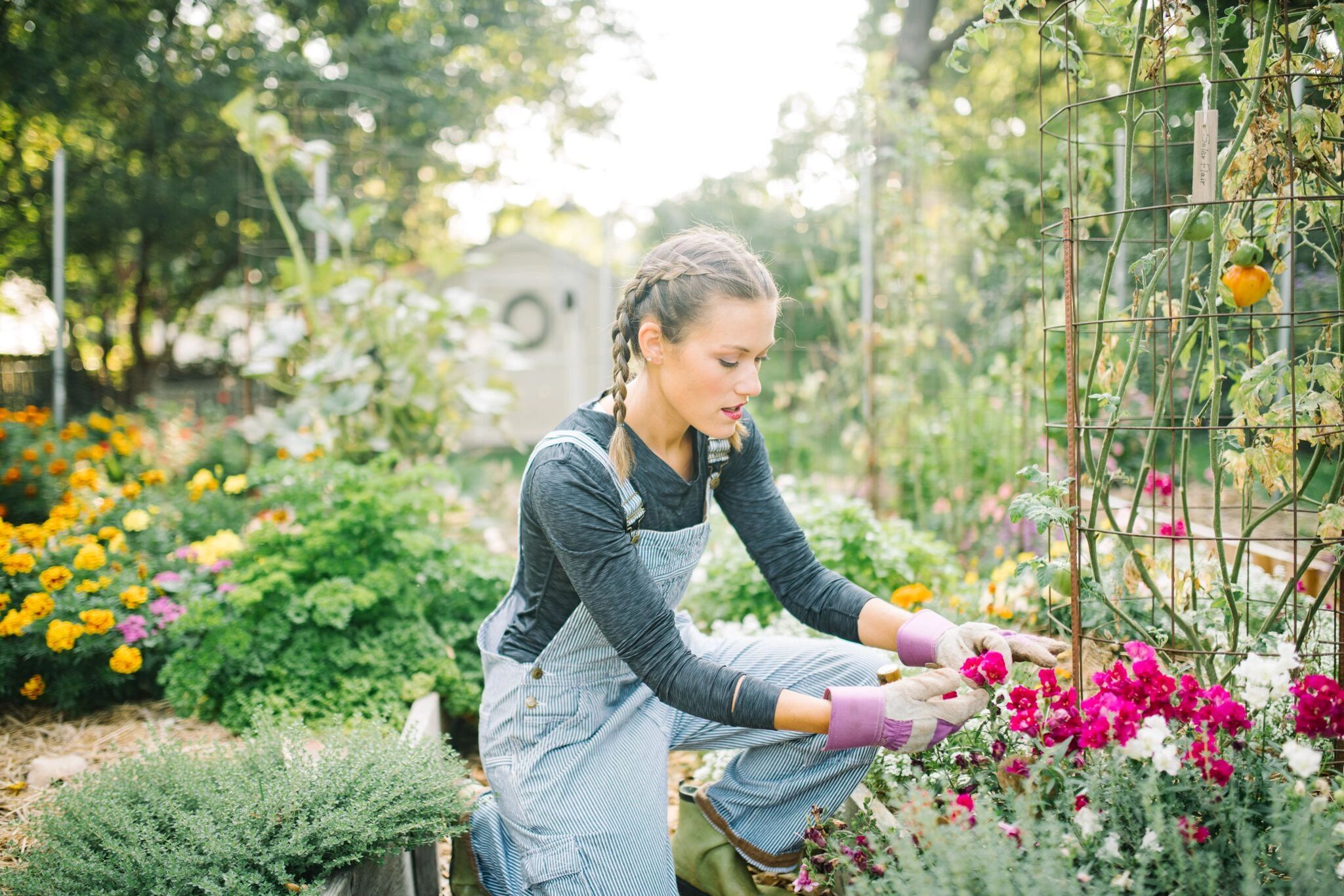 The Garden Groomer - Garden, Custom Gardening Services, Gardener