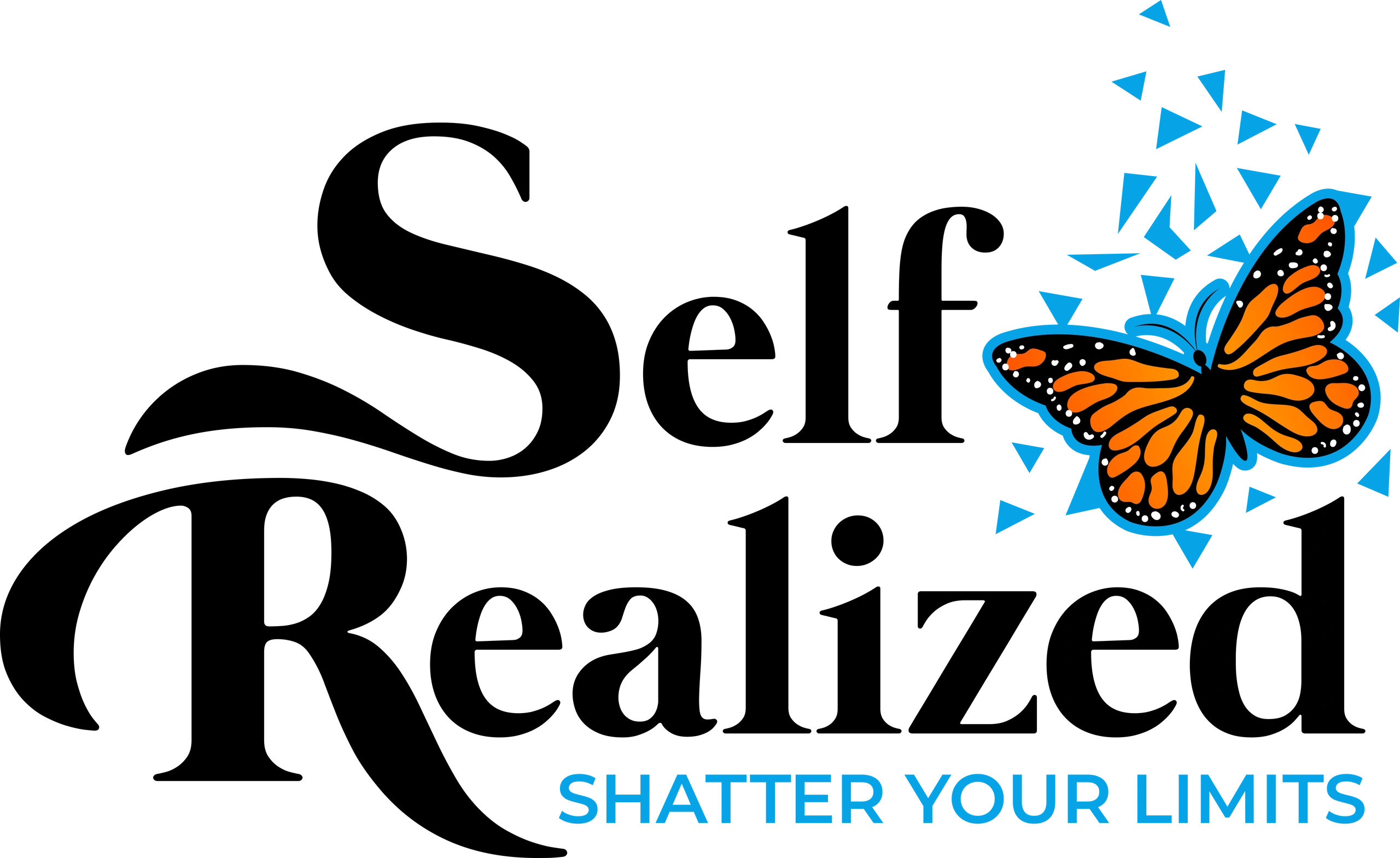 The Resilience Journey.