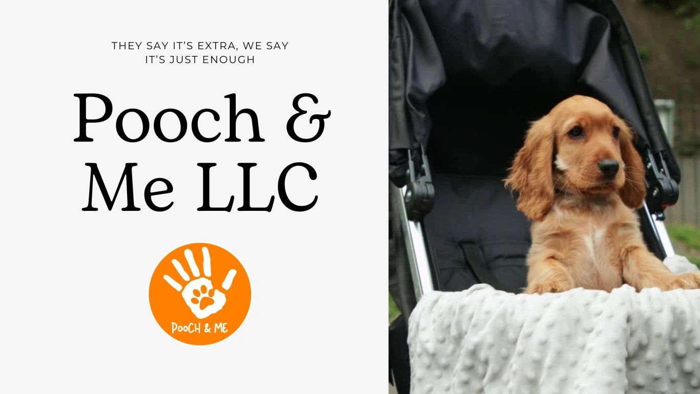 Visit Pooch & Me for compassionate in-home dog care