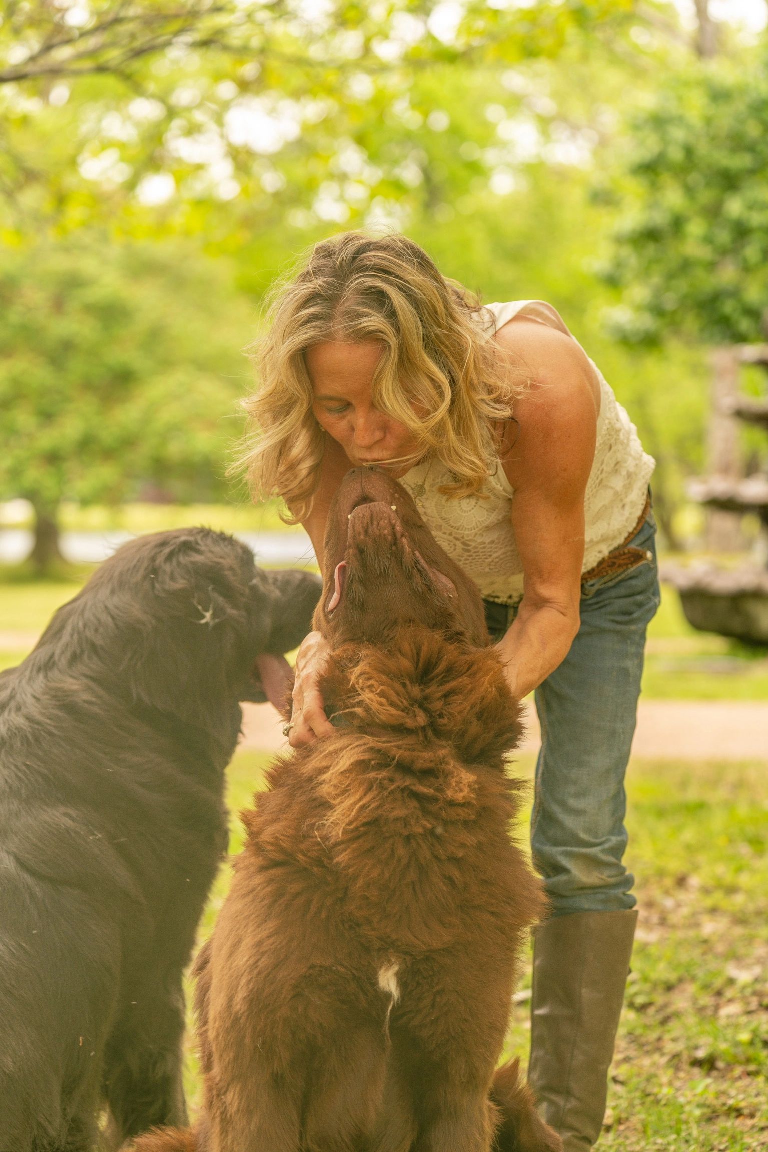 Rocky Hills Newfoundland Pup Farm