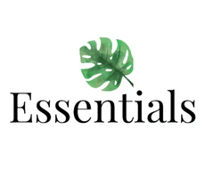 Essentials Day Spa
