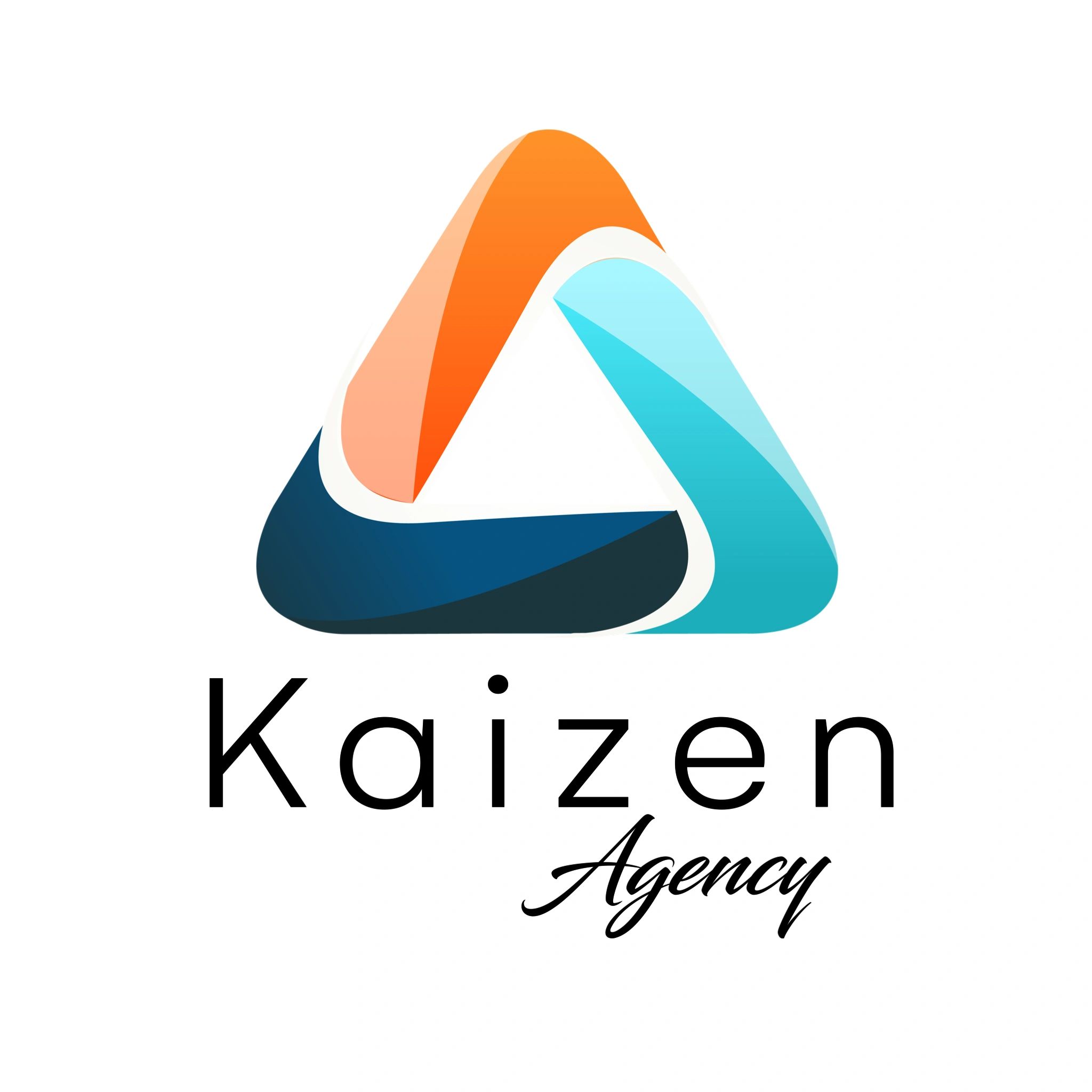 Executive Coaching Services | Kaizen Company