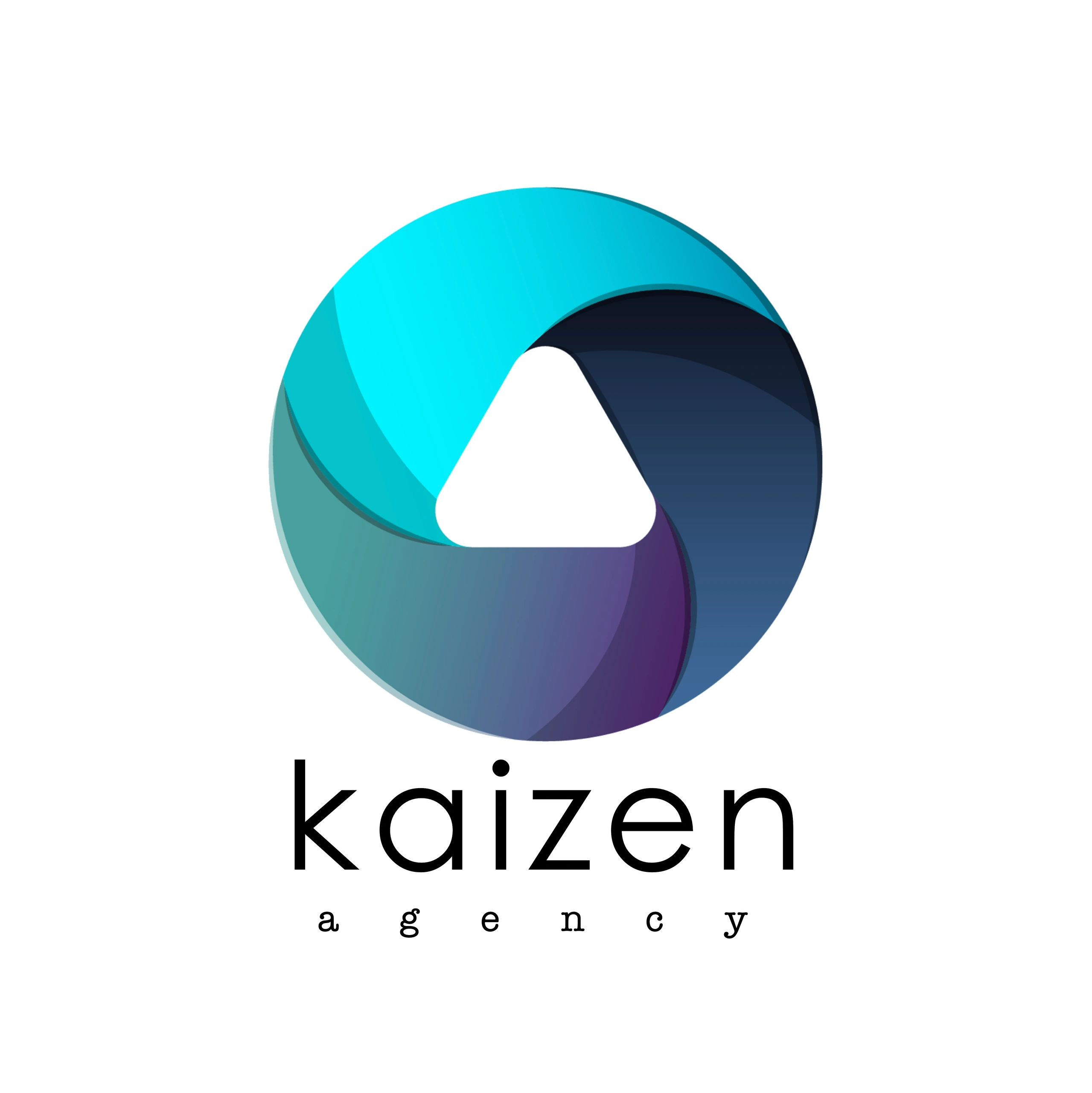 Executive Coaching Services | Kaizen Company
