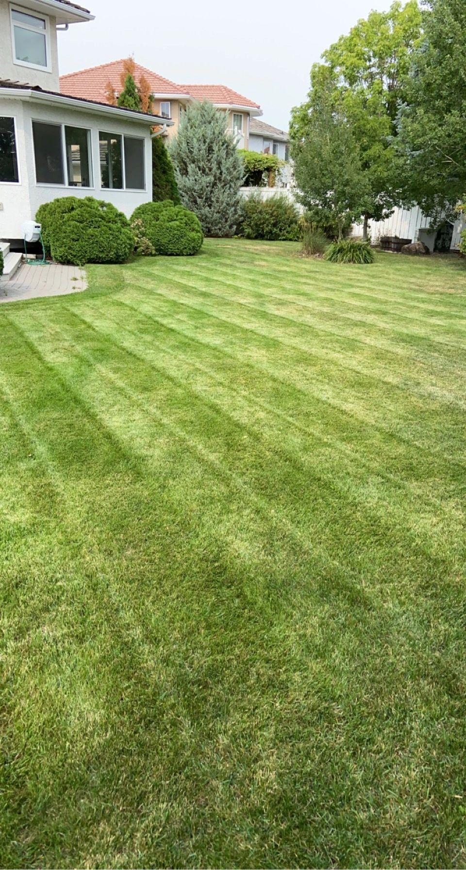 Weekly Lawn Maintenance