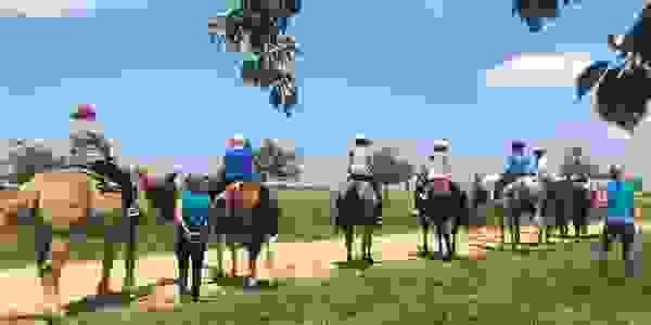 Ride Into History | National Riding Stables Horse Rescue