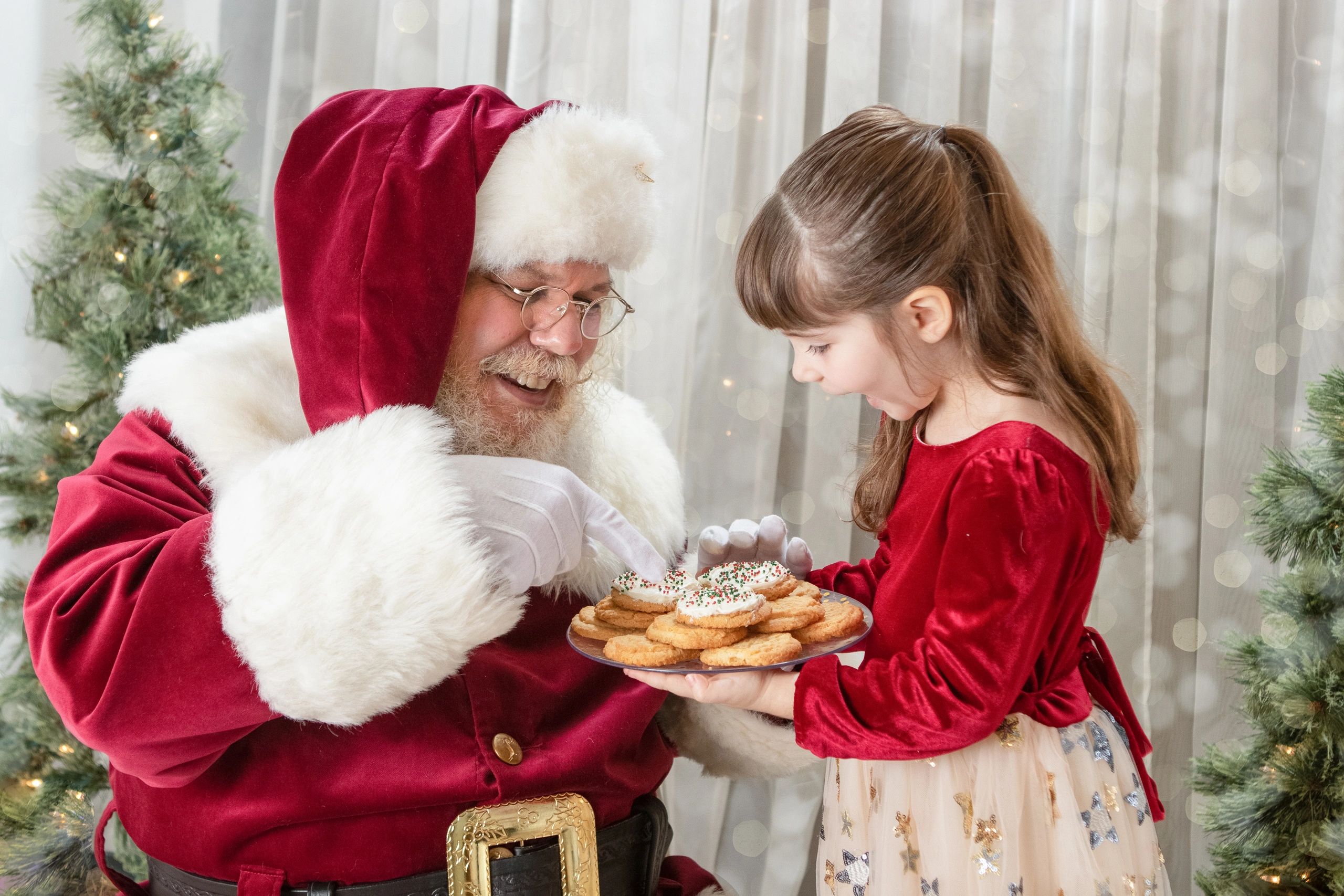 The Santa Experience