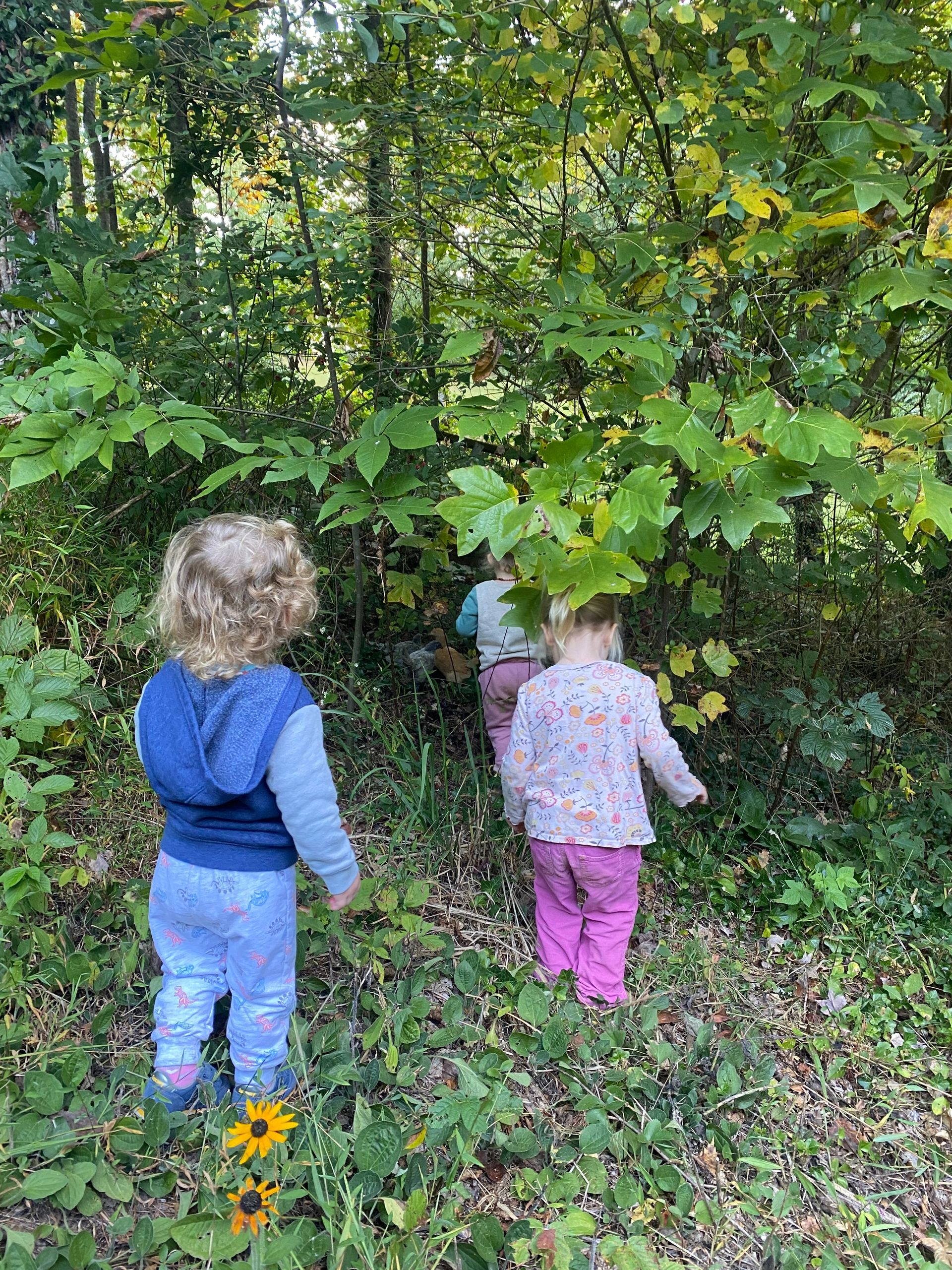 Rosebud Playschool - Home