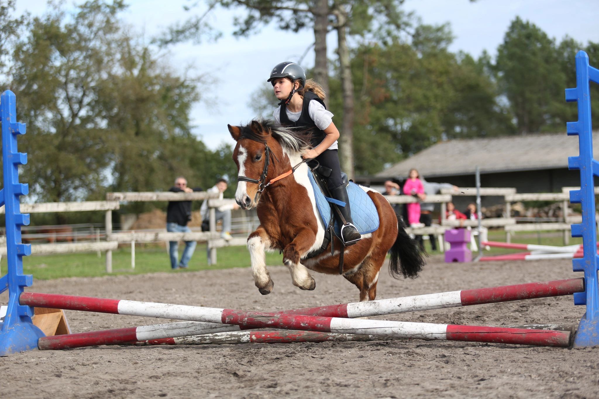 LE PONEY CLUB | Ecuries Mont Royal