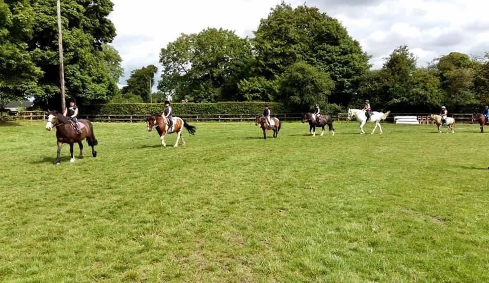 Pelletstown Riding Centre - Horse Riding Centre, Livery Yard