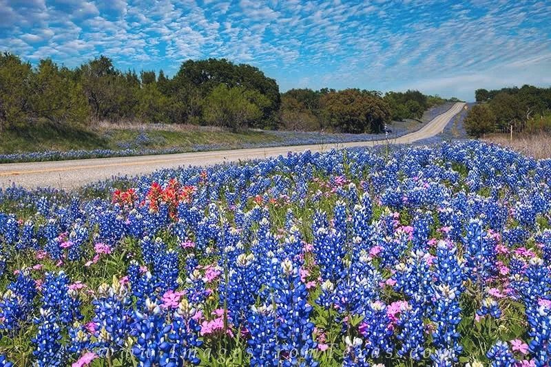 HOME [movethegasplant.org]