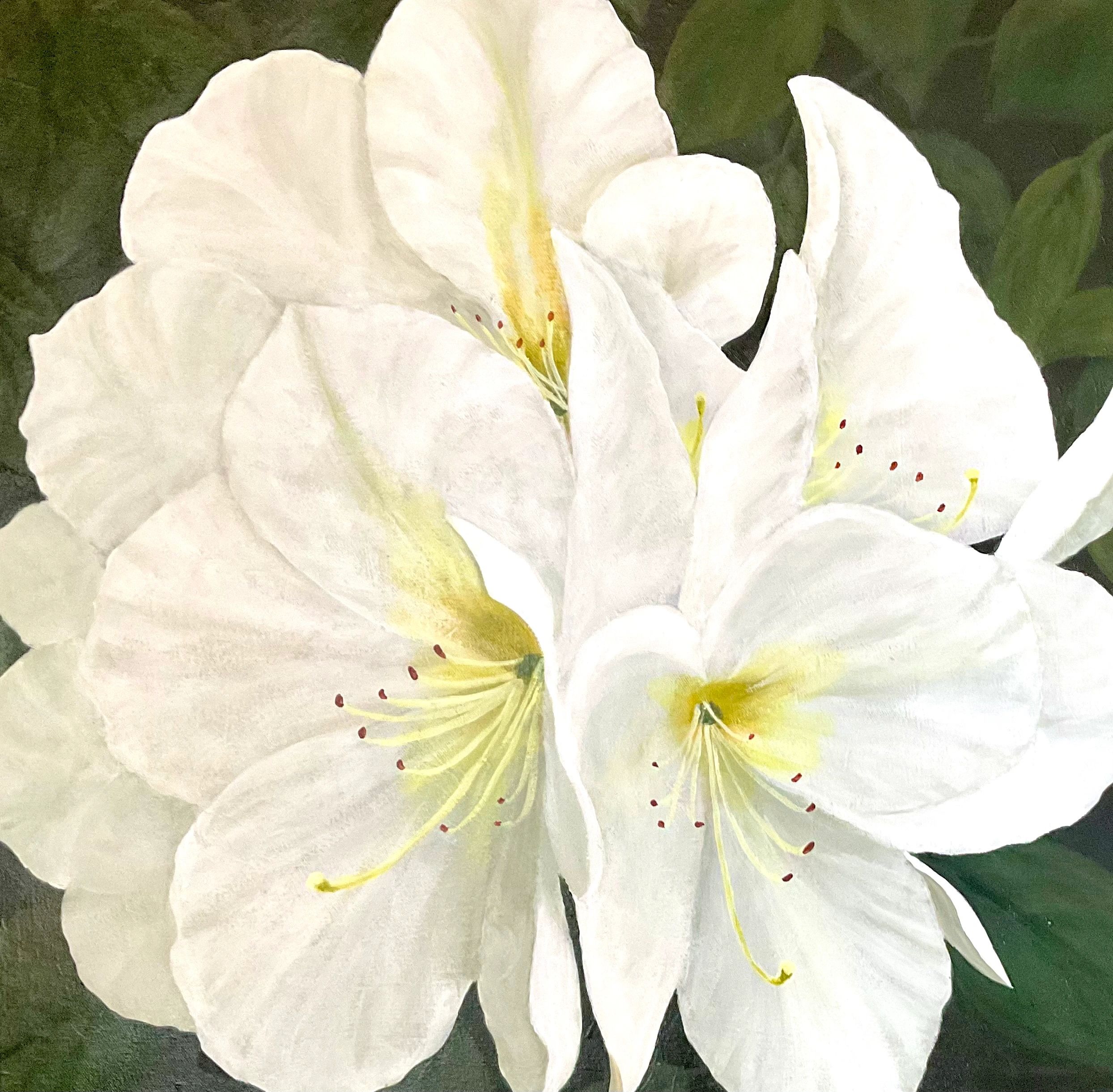 Sharon Nielsen Art Gallery