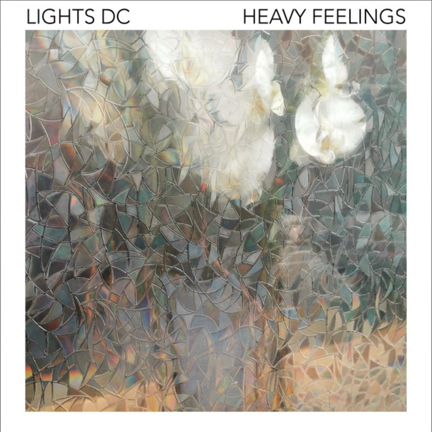 Heavy Feelings (Original Single) By Lights DC