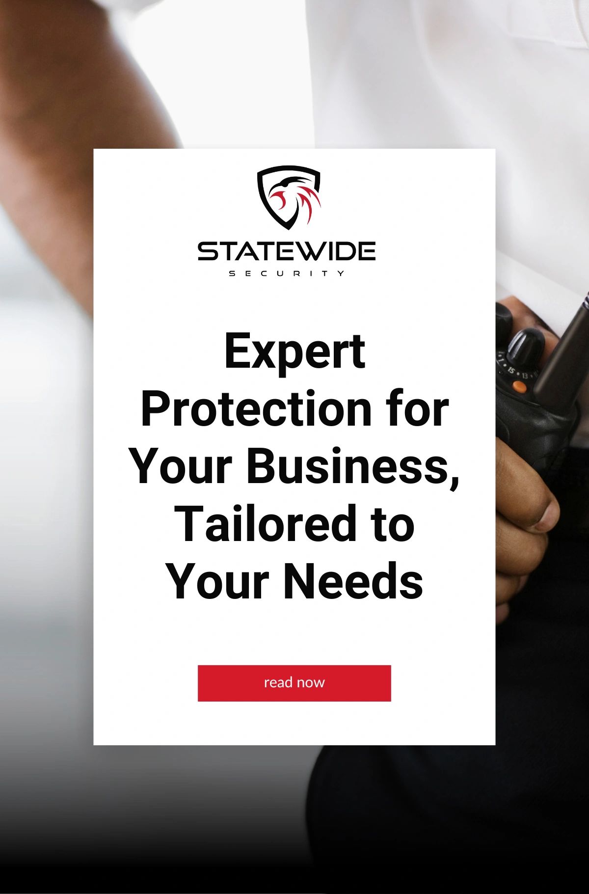 Choosing the Right Statewide Protection Services for Business