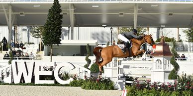 World Equestrian Center