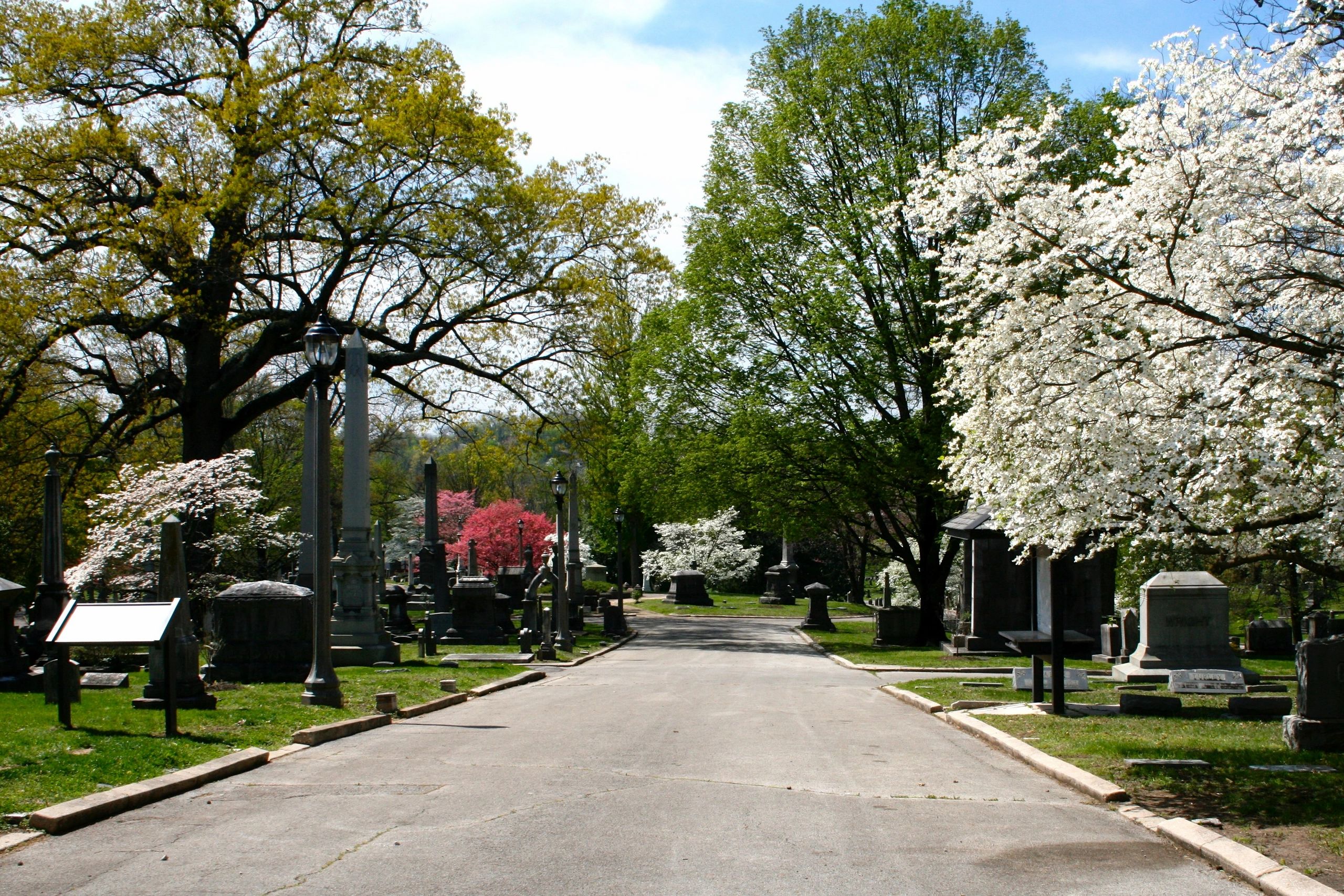 Home [oldgraycemetery.org]